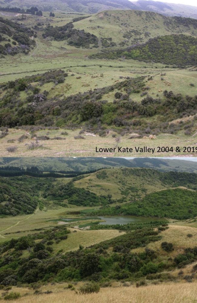 Gallery - Transwaste